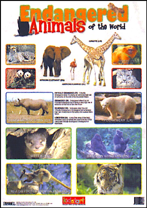 Endangered Animals Poster – Edu-21