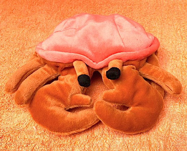 Sand Crab Hand Puppet – Plush Ocean Storytelling | Edu-21